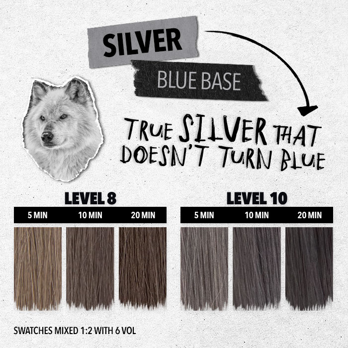 high speed silver